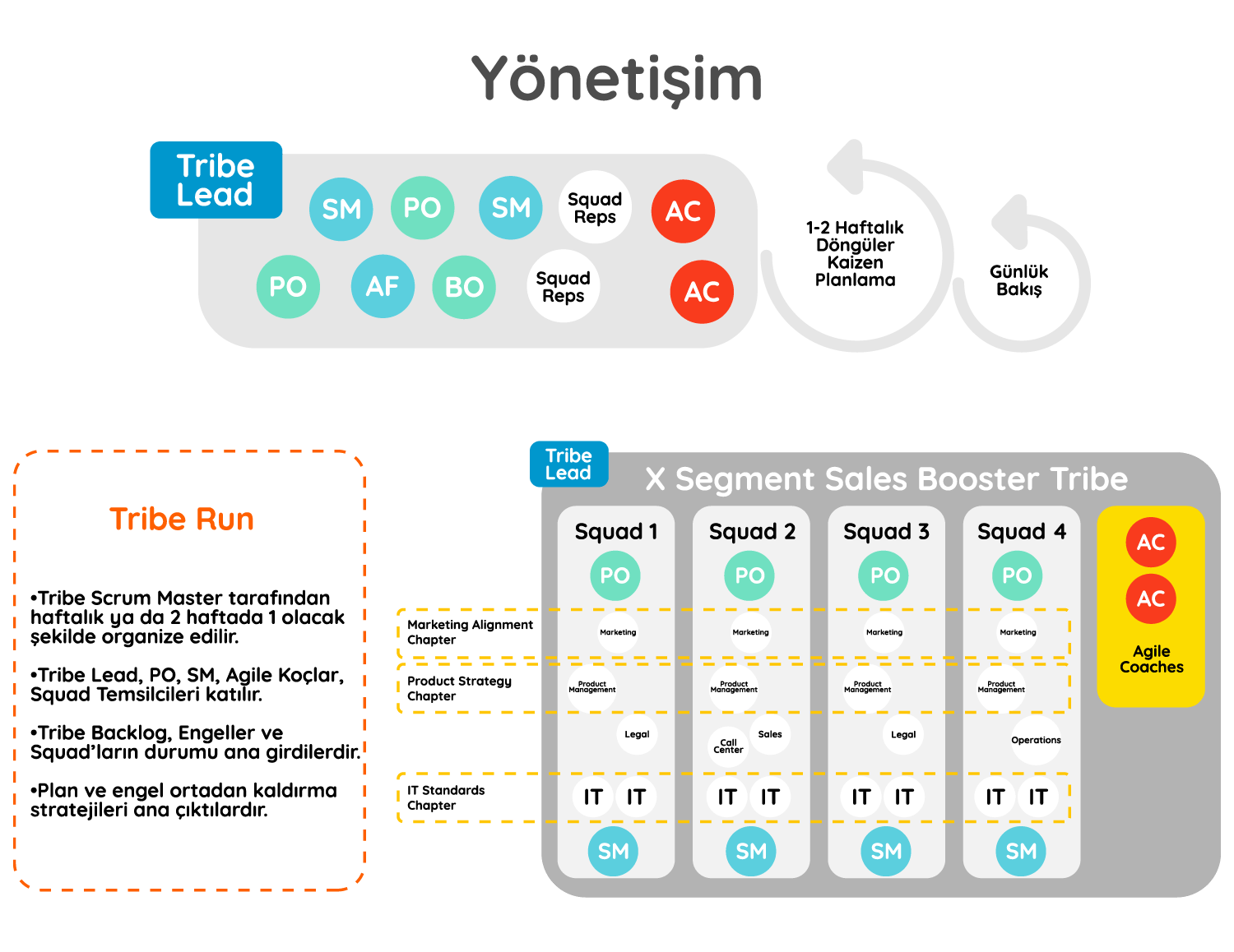Digitalization Agility Booster Tribe Program - ACM