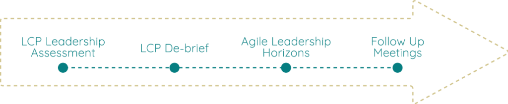 Agile Leadership Horizons Program - ACM